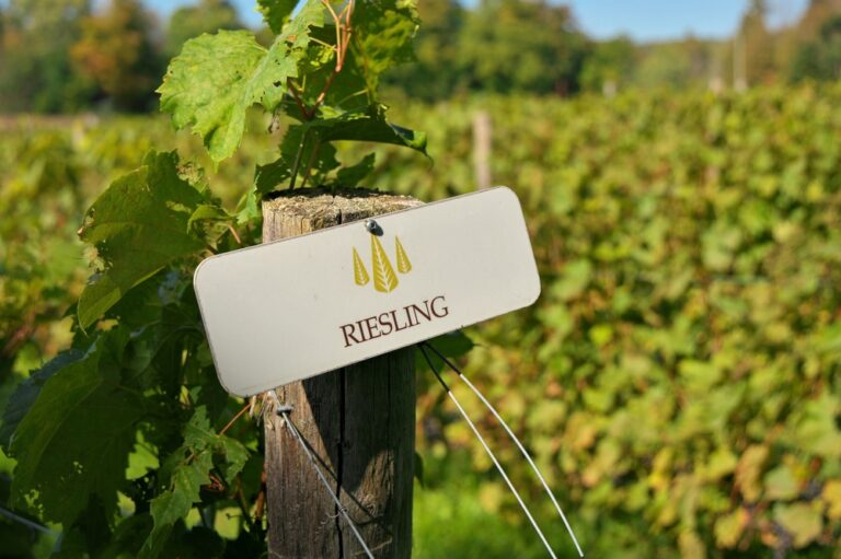 Home - Glug Wines