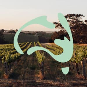 Home - Glug Wines